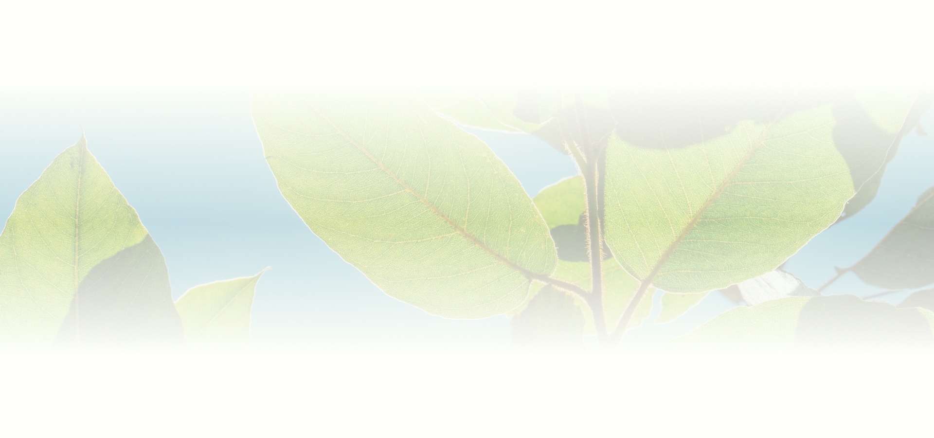 New Ventures West - Integral Coaching & Certification Program